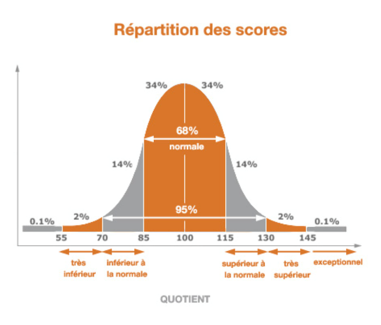 Evaluation - ImpactUp